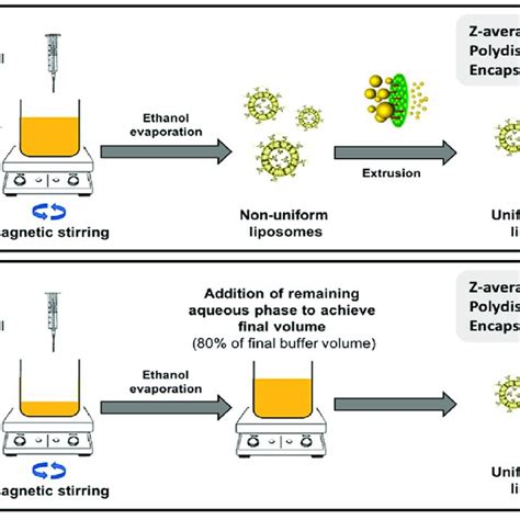Schematic Illustration Of Main Differences Between Conventional And