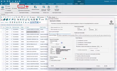 Introdução Ao Totvs Rm Chronus