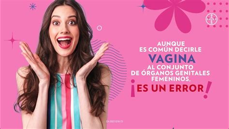 Gynocanesten Academia De La Vagina Diferencia Entre Vulva Y Vagina I