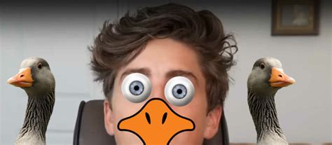 Bro Danny Is Not A Bird R Dannygonzalez