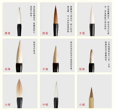 书画小课堂丨 一支笔的千变万化——毛笔的结构与种类 哔哩哔哩