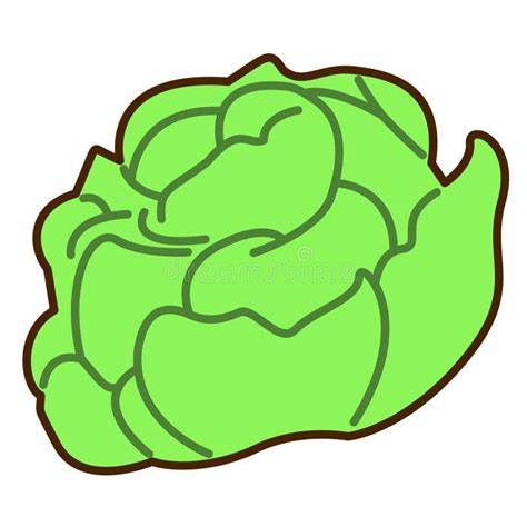 Cabbage In Doodle Style Vector Illustration Of A Vegetable Stock