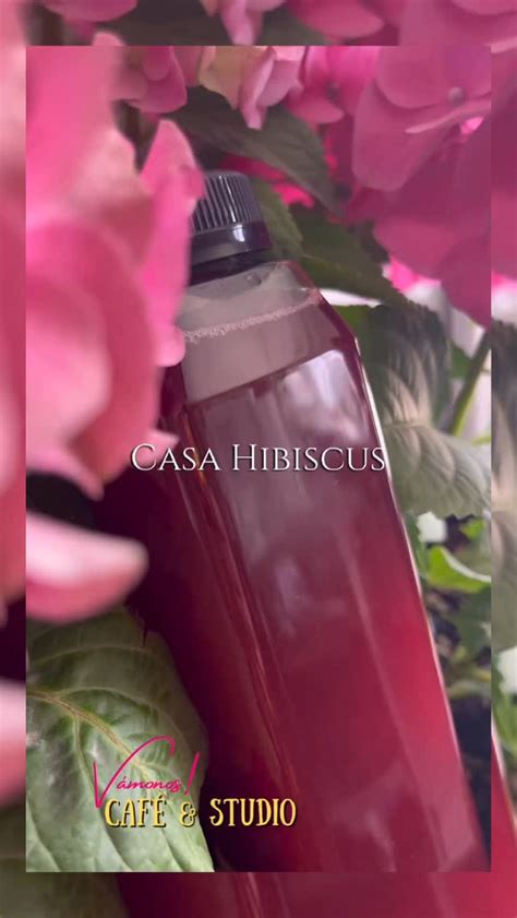 Vamonos Detroits Local Healthy Eatery And Creative Spaces Vamonos