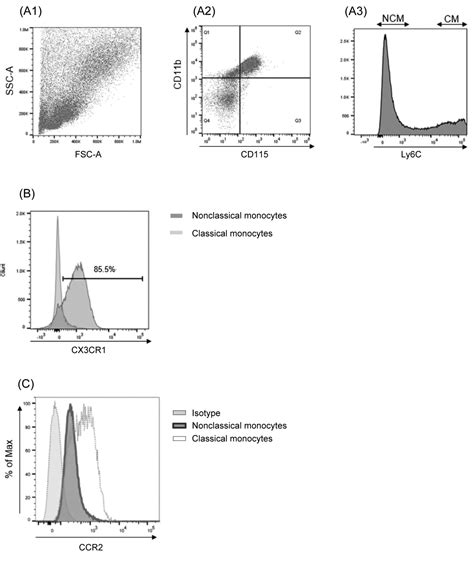 Figure 4 Non Classical Monocytes Enhance The Efficacy Of Immune