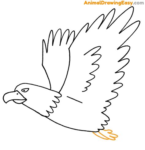 Easy Flying Eagle Drawing