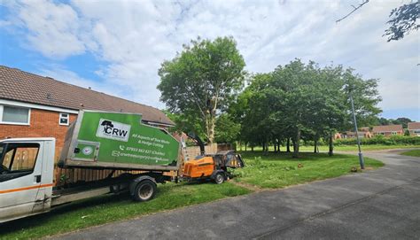 Tree Surgeon Stokesley Tree Services Crw Tree Surgery