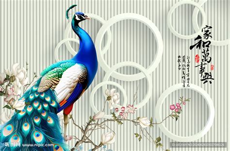孔雀设计图绘画书法文化艺术设计图库昵图网