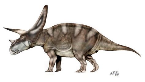 Torosaurus Alchetron The Free Social Encyclopedia
