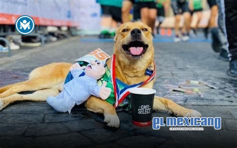 Fiscalía Investiga Muerte De El Chicles En Tijuana
