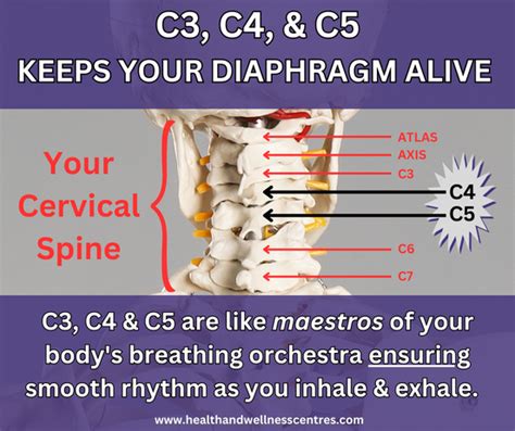 Dr Michaels Health And Wellness News