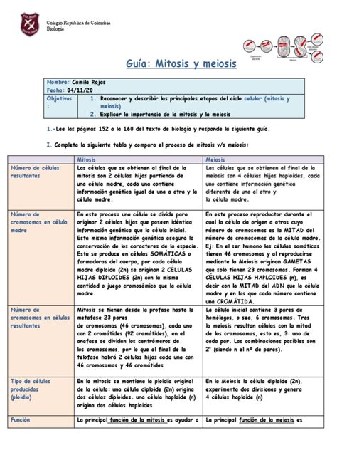 Guia Mitosis Meiosis Pdf Mitosis Mitosis