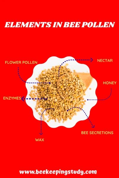 How To Take Bee Pollen Easy Ways Dosage And Timing Beekeepingstudy