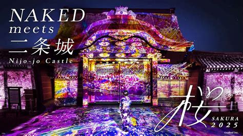Naked Meets Nijo Castle Sakura 2025 Admission Ticket｜kyoto Japan