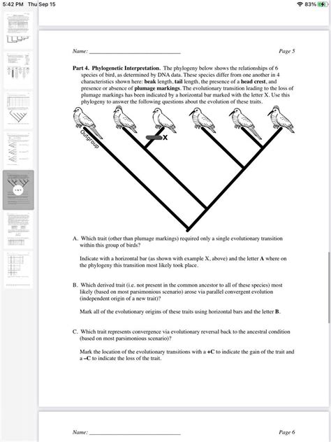 Part 4 Phylogenetic Interpretation The Phylogeny