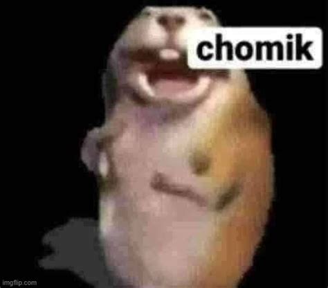 Goofy Chomik Imgflip