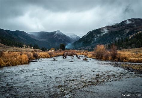 Gallery Tiny Timbers Resort Gallery Tiny Timbers Resort