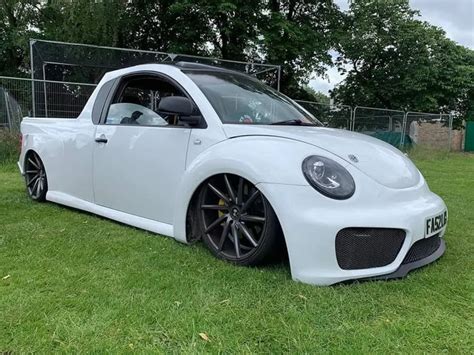 Buck Or Treetle 9gag