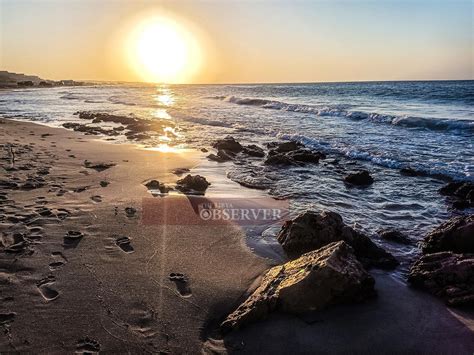 Celine The Libya Observer