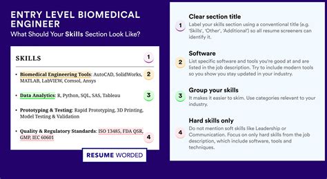 Entry Level Biomedical Engineering Jobs