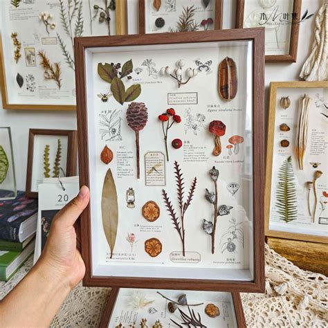 Botanical Specimen Frame Wall Art French Vintage Style Home Decor Classic Plant Pressed