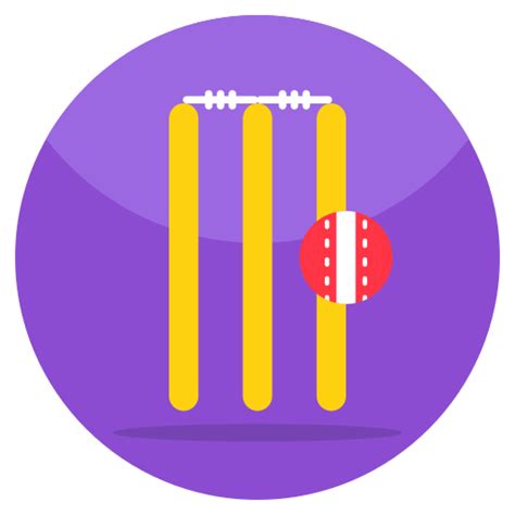 Wicket Generic Color Fill Icon