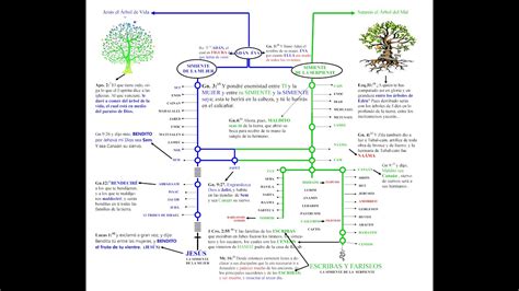 Arbol Genealogico De Las Dos Simientes Del Eden Youtube