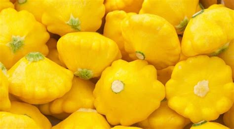 Types Of Yellow Squash