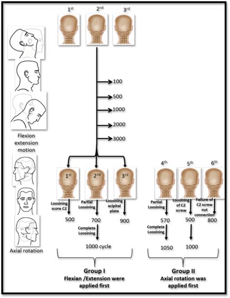 Flow Chart Summarizing The Methods Of Applying Loading And The Results