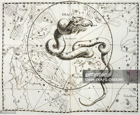 Dragon Constellation Photos And Premium High Res Pictures Getty Images