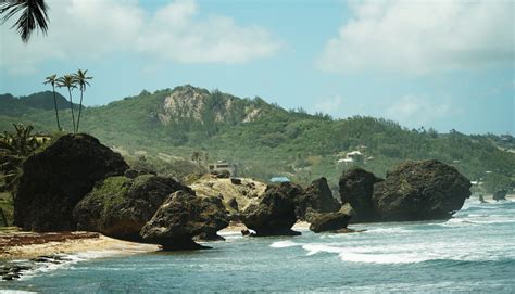 Land Path Of Migration Marianne Keating