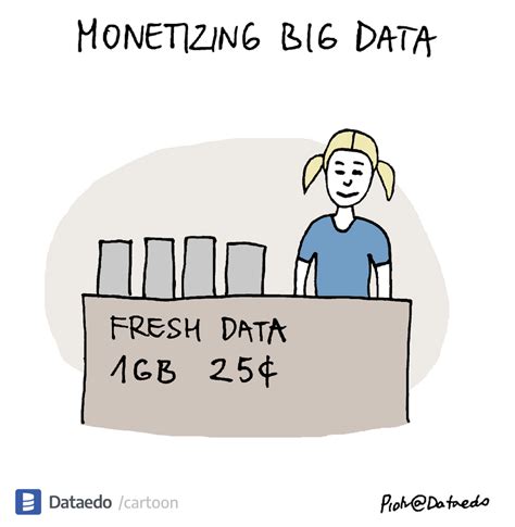 Big Data Monetization Strategy Dataedo Data Cartoons