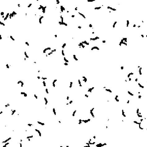Finding The Circularity Of Cell Tracks R Imagej