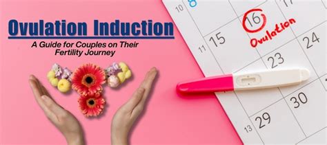 Ovulation Induction A Guide For Couples On Their Fertility Journey
