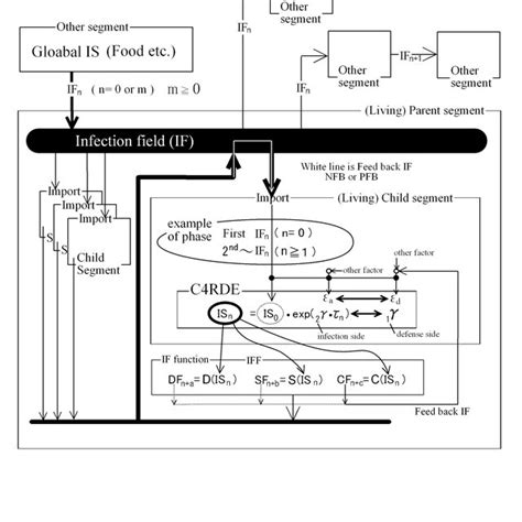 Definition Of Infection Chain Ic And Various Seg Ments Download