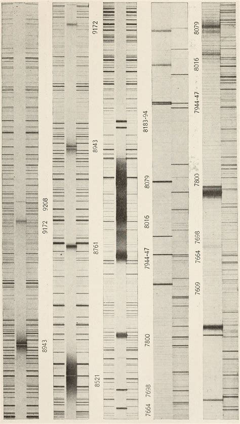 Nemfrog Wave Length Measurements In Spectra From 5600 A O