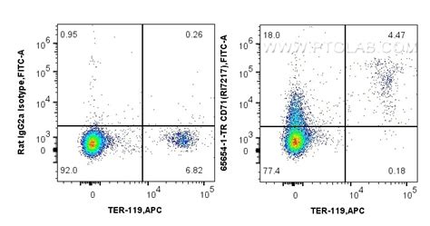 Cd71 Antibody 65654 1 Tr Proteintech