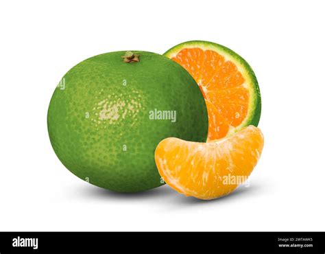 Tangerine Tree Ripe Fruit Cut Out Stock Images And Pictures Alamy