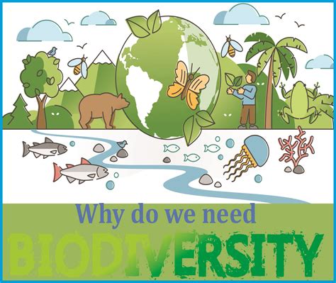 Why Do We Need Biodiversity Jahangirs World Times