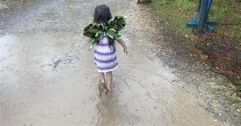 Puddle Number 74 Album On Imgur