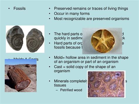 Ppt Relative Dating Superposition Clues In Igneous Rock Index Fossils Ppt Relative Dating Superposition Clues In Igneous Rock Index Fossils