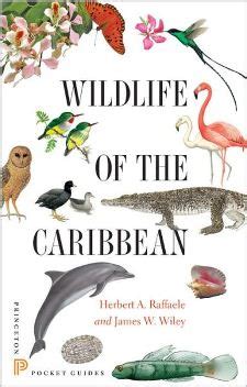 New Book Wildlife Of The Caribbean