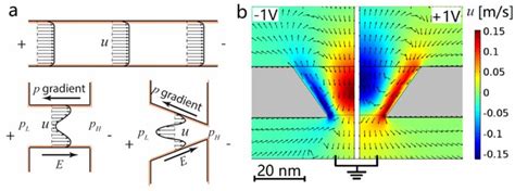 Electroosmotic Flow In Nanopores A Schematics Of The Eof Velocity Download Scientific