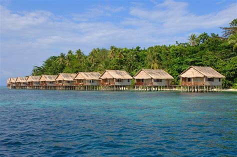 Papua Paradise Eco Resort Raja Ampat Indonesia