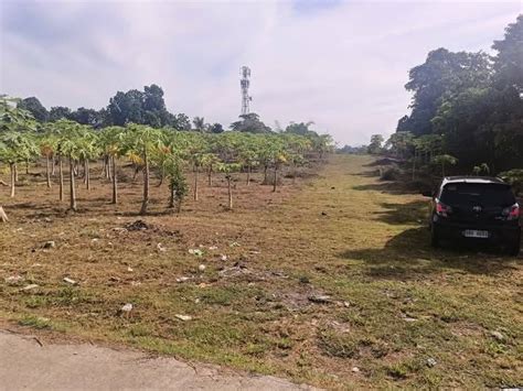 Laureen Grace Laureen Grace Added A New Photo