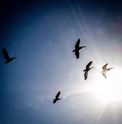 Blues In My High School Efl Class Visualising Ideas