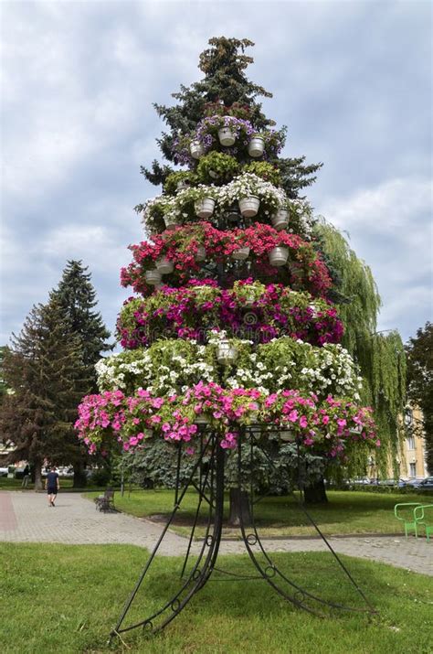 Multi Level Flower Bed With Beautiful Multicolored Flowers In The Center Of Ternopil Stock Image