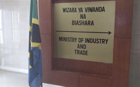 Brela Tanzania Business Consultant