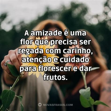 Fotos De Rosas Com Citacoes De Amizade