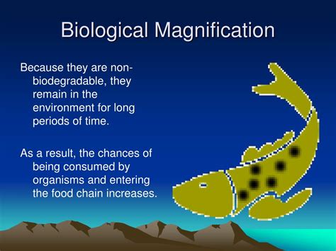 Ppt Biological Magnification Powerpoint Presentation Free Download
