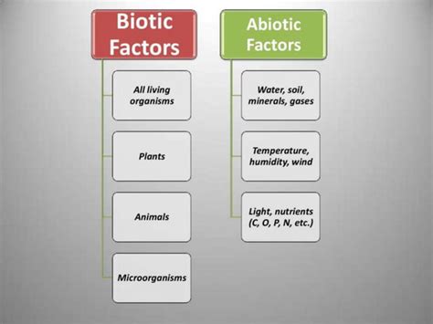 Introduction To Enviormental Sciences Definition Scope And Importance